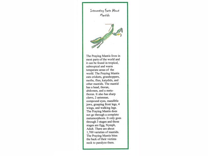 EL Education - Informative Bookmarks