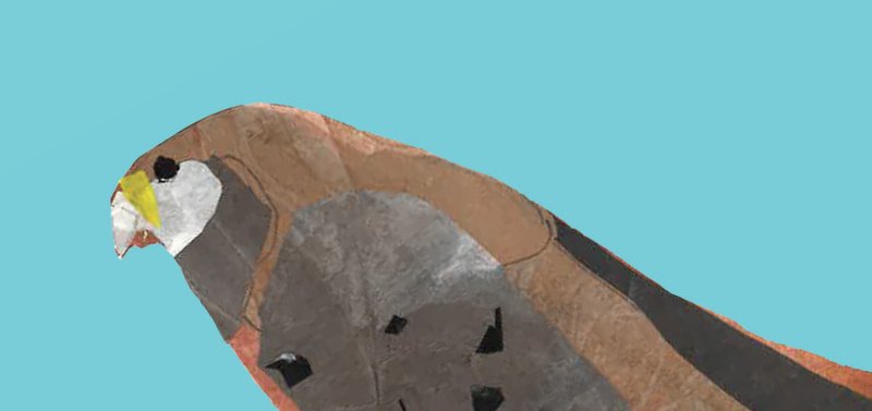 EL Education - Writing A Psa