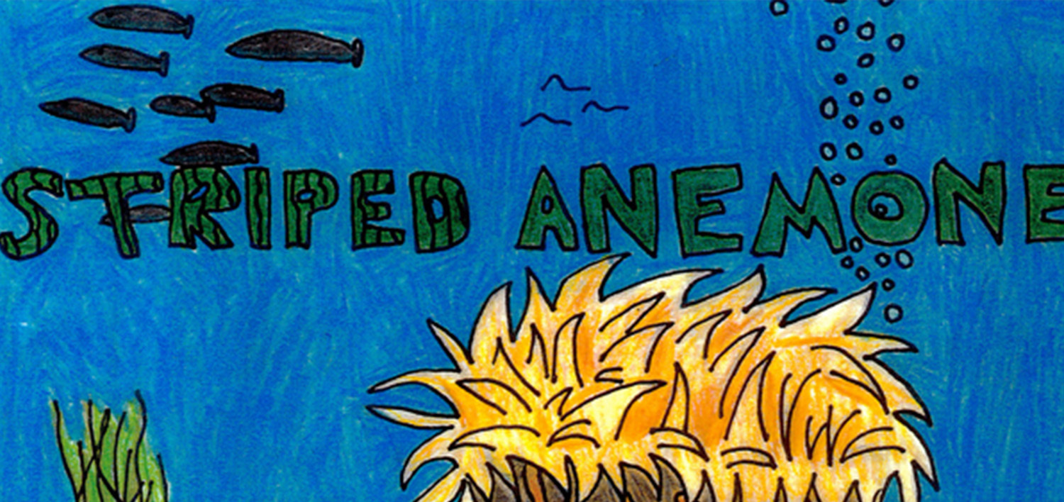 EL Education - Informative Bookmarks